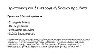 01_Δασικά προϊόντα_19102023.pptx
