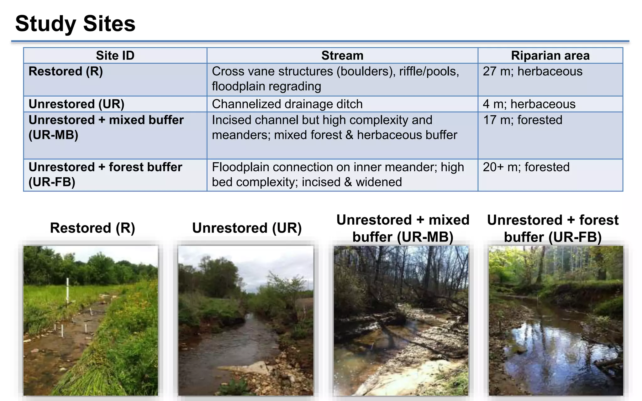Impact of Agricultural Stream Restoration on Riparian Hydrology and ...