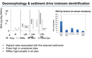 Impact of Agricultural Stream Restoration on Riparian Hydrology and ...