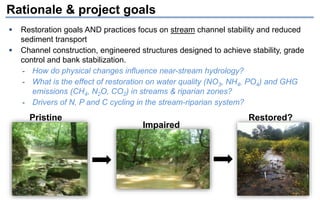 Impact of Agricultural Stream Restoration on Riparian Hydrology and ...