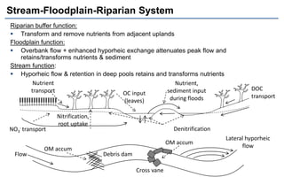 Impact of Agricultural Stream Restoration on Riparian Hydrology and ...