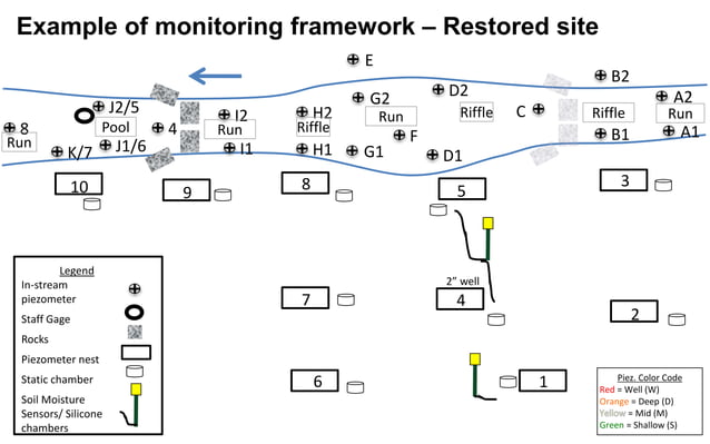 Impact of Agricultural Stream Restoration on Riparian Hydrology and ...