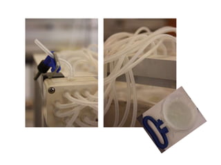 Soil Physics lab | PPTX