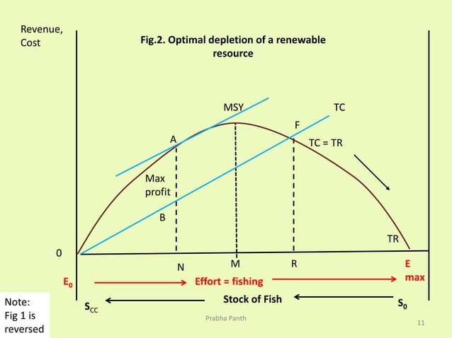 011 optimal depletion of renewable resources | PPT
