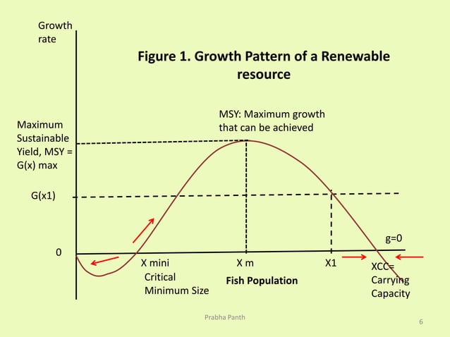 011 optimal depletion of renewable resources | PPSX | Zoos & Aquariums ...