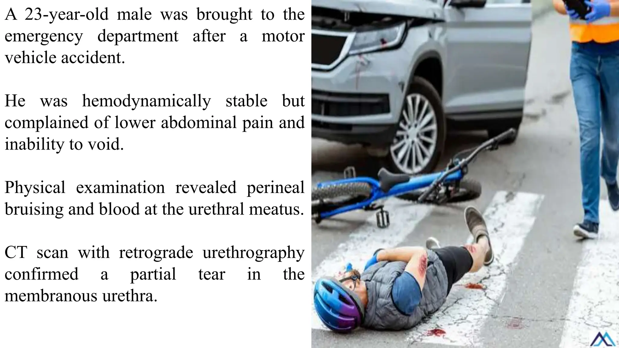 Pelvic muscles, vessels and nerves / Pelvic muscles, vessels and nerves.pdf
