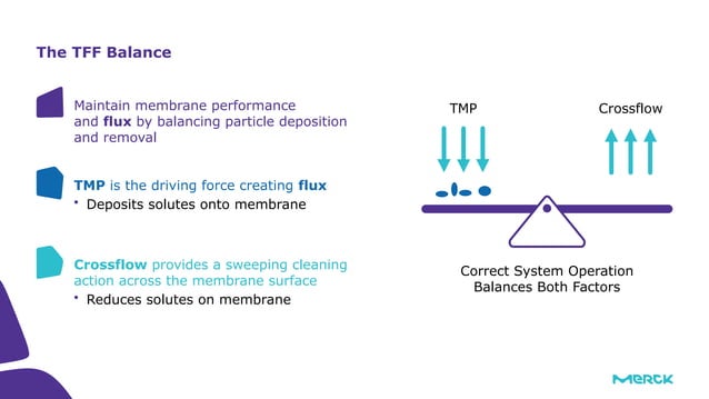 011 PP Foundation Training TFF- new brand EU.pptx