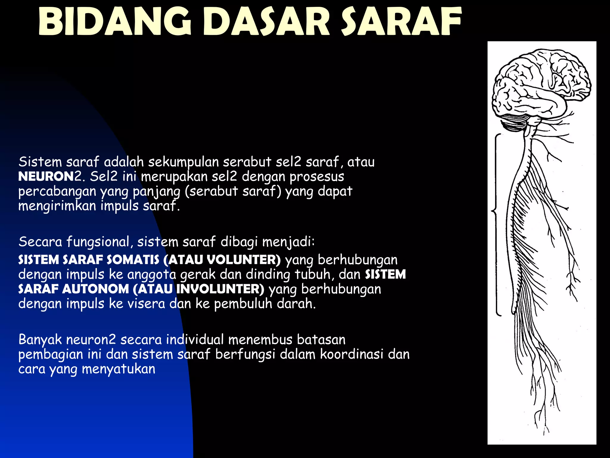 Neurology Sistem in Anatomy/ Sistem Saraf di Anatomi | PPT