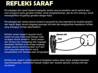 Neurology Sistem in Anatomy/ Sistem Saraf di Anatomi | PPT