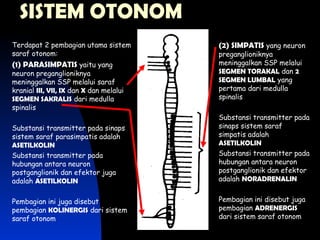 Neurology Sistem in Anatomy/ Sistem Saraf di Anatomi | PPT