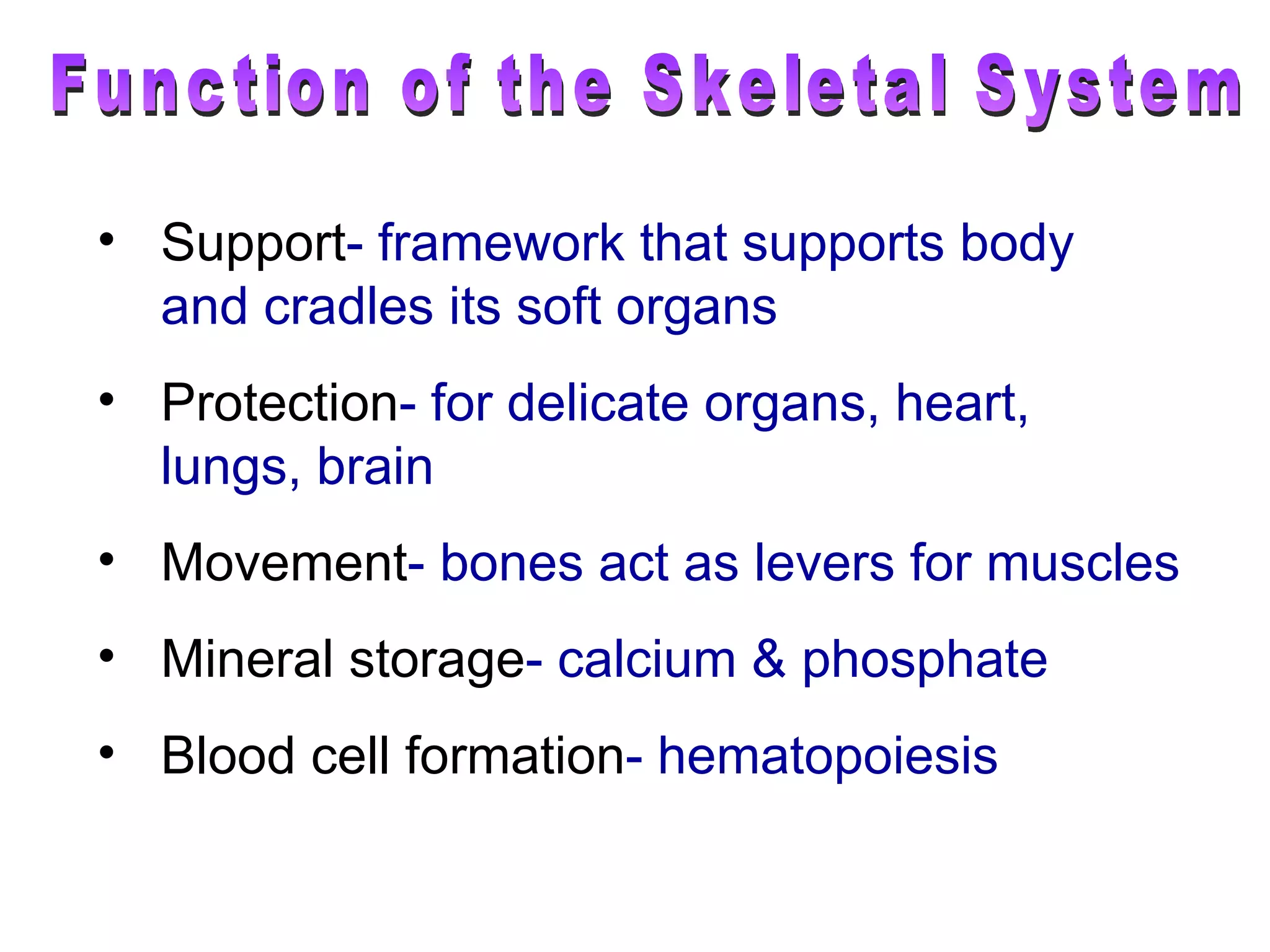 Human skeletal system - Movement and Locomotion | PPT