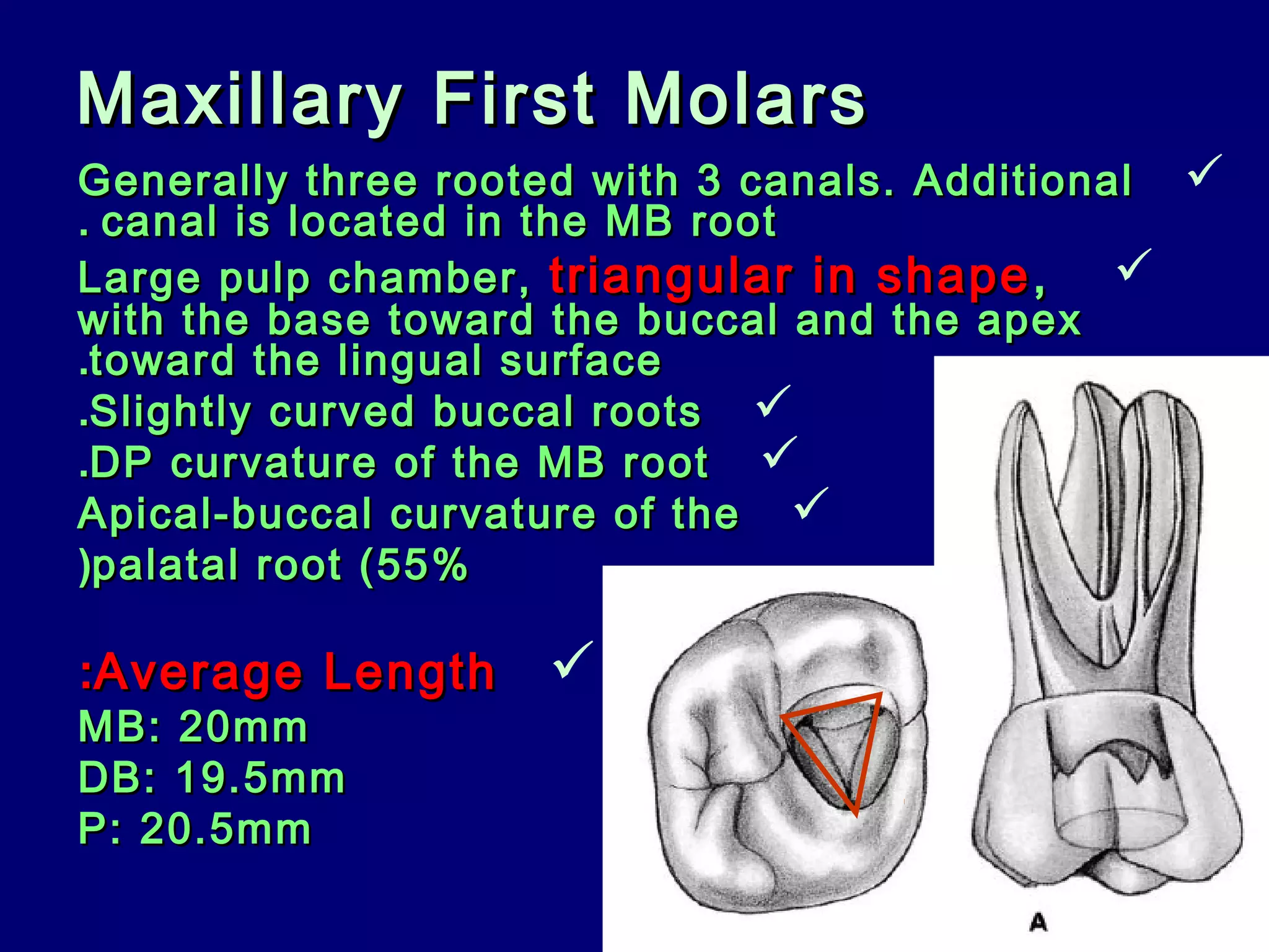 012. access cavity preparation | PPT