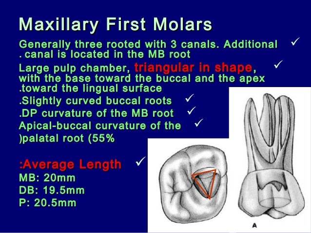 012. access cavity preparation
