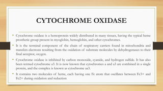 012. ENZYMES OF BIOLOGIC OXIDATION (MBCH 223 BIOENERGETICS AND ENZYMOLOGY).pptx