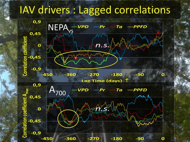 Carryover impacts on Net Ecosystem Productivity in a temperate mixed ...