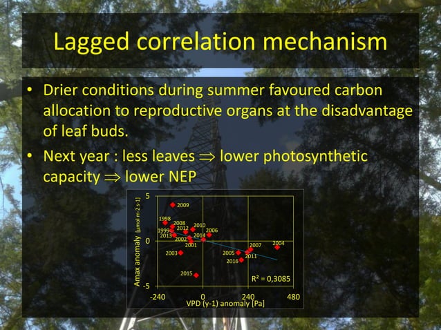 Carryover impacts on Net Ecosystem Productivity in a temperate mixed ...