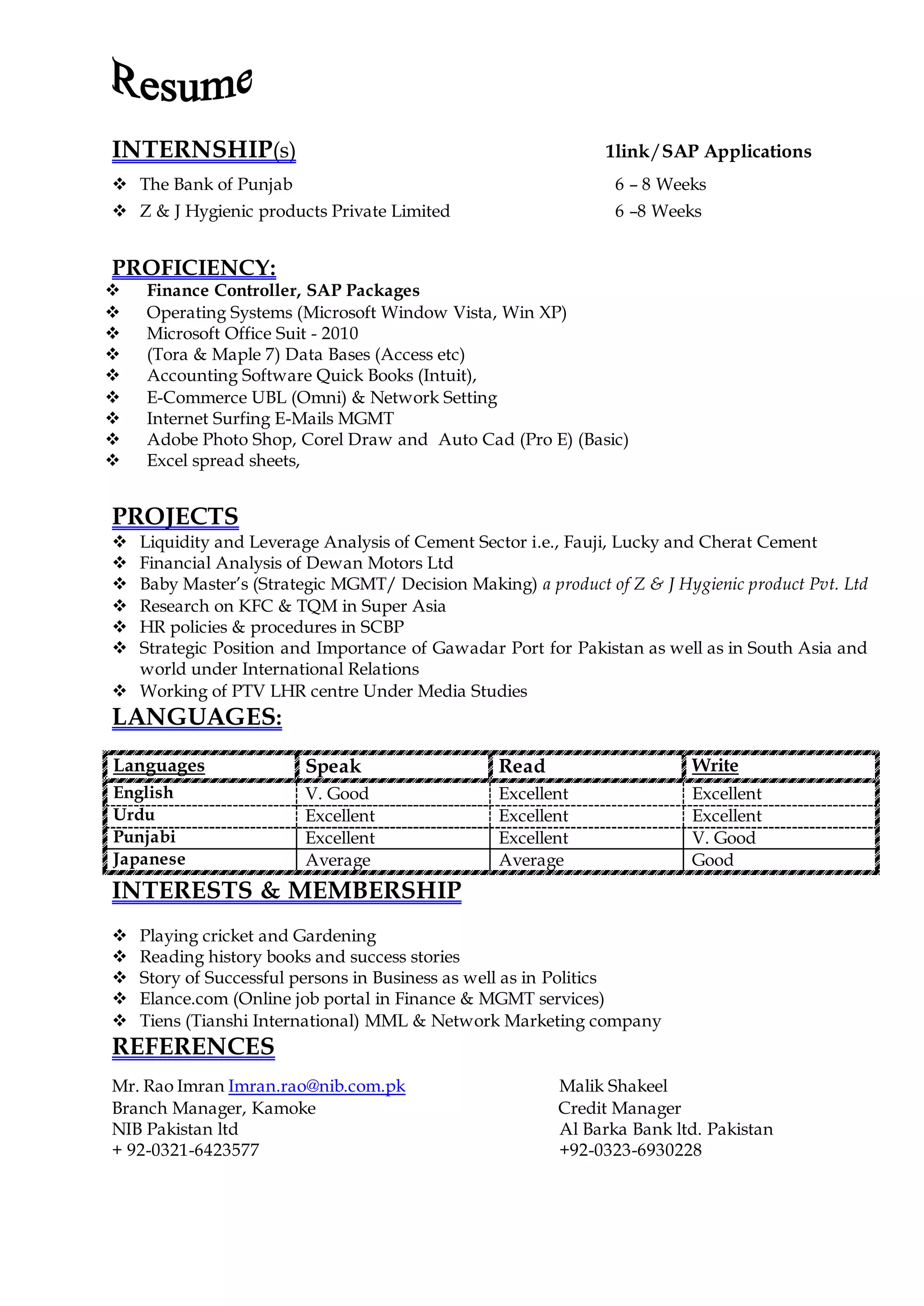 Professional Resume | DOCX