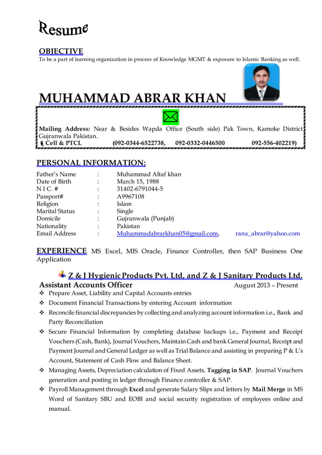 Professional Resume | PDF