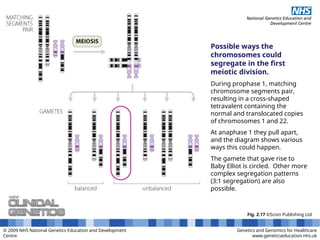 0121Explanation_slides_Mitosis_and_Meiosis.ppt