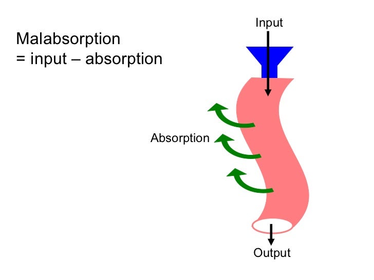01.27.12: Malabsorption of Nutrients