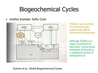 0128lec.ppt of the analytical chemistry. | PPT
