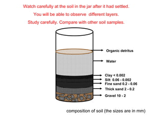 012 analysis of soil composition | PPT