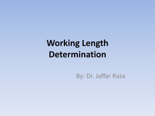 013.working length determination | PPTX