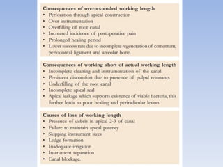 013.working length determination | PPTX