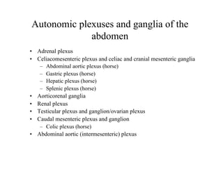 AV2-Irrig-Inerv Abdomen,pelvis.pdf