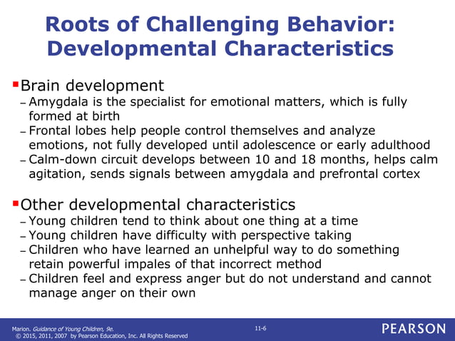 Chapter 11 Minimizing Challenging Behavior | PPT | Parenting Babies and ...