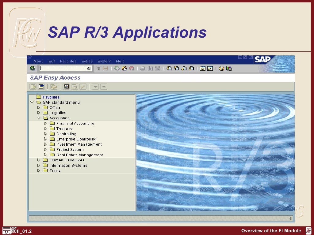 SAP FI Overview | http://sapdocs.info