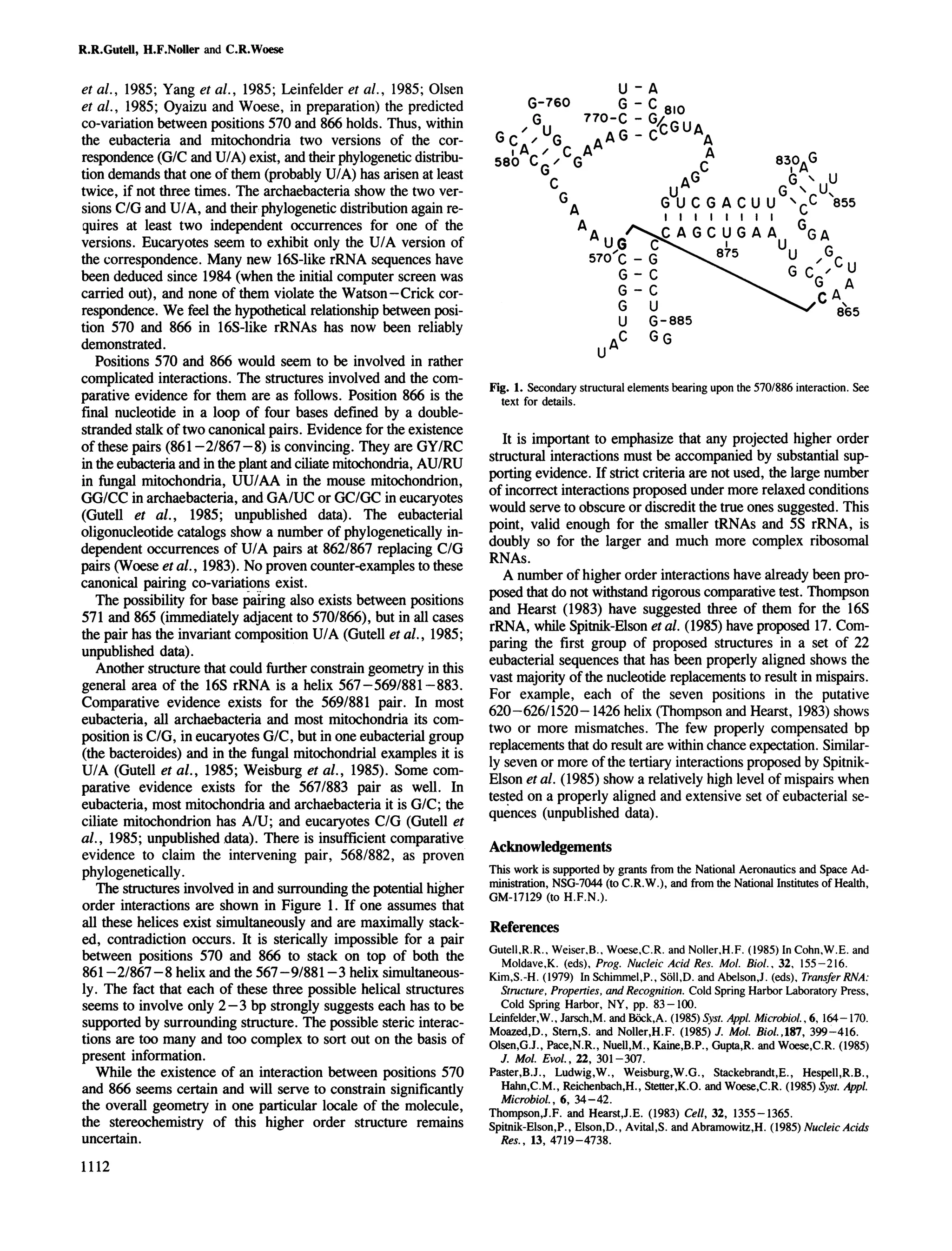 Gutell 014.emboj.1986.05.1111 | Biological Sciences | Science