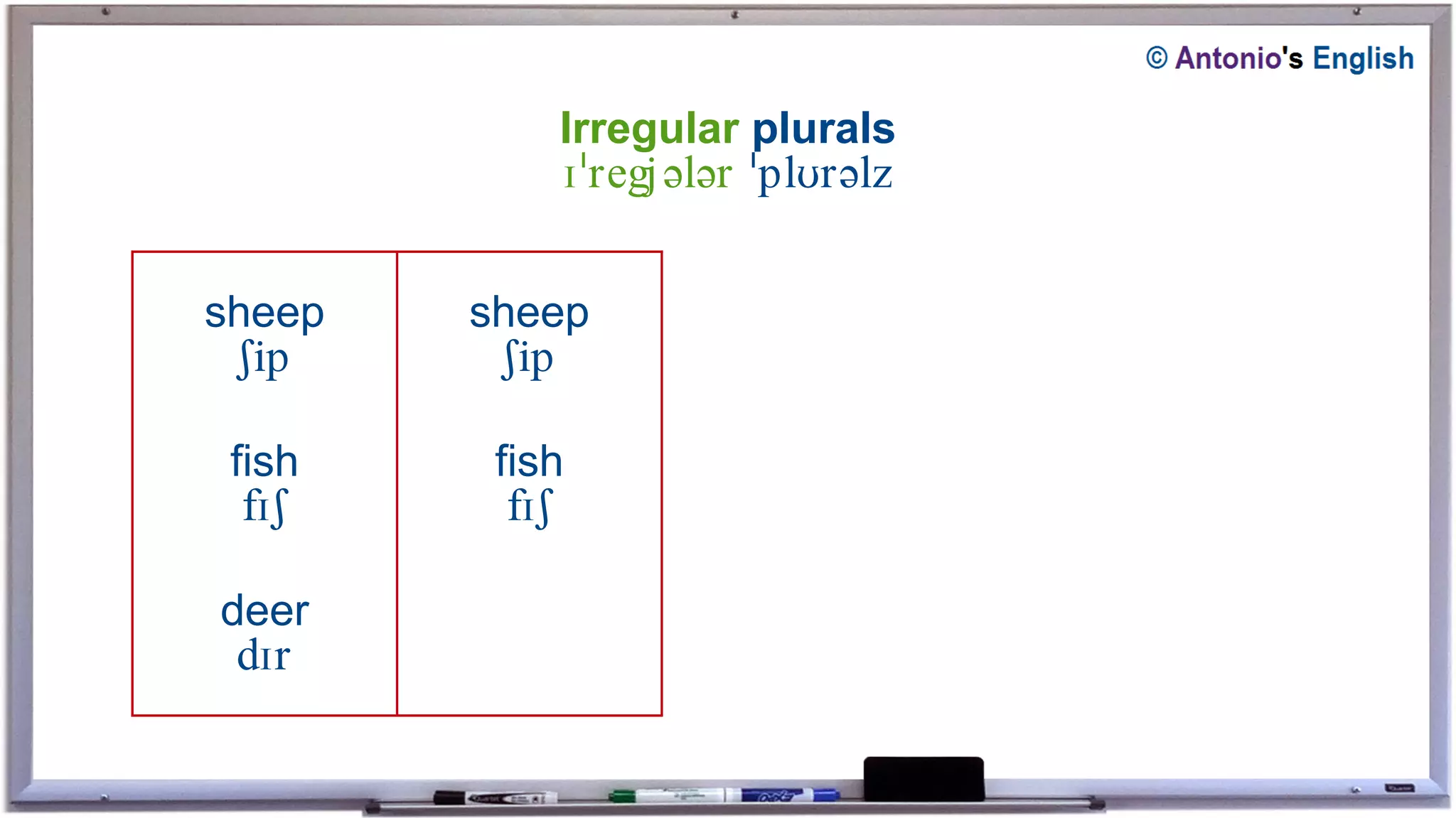 14. Irregular plurals - Plurales irregulares | PPT