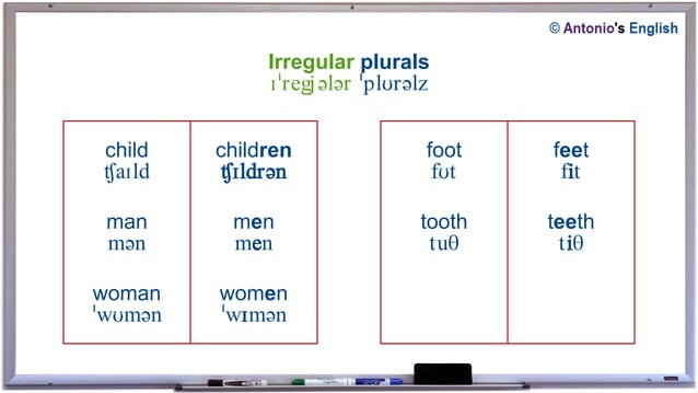 14. Irregular plurals - Plurales irregulares | PPT