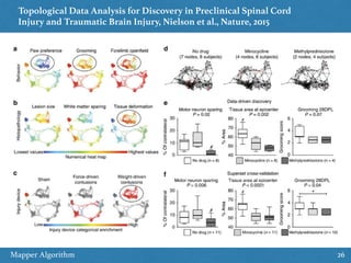 Tutorial of topological data analysis part 3(Mapper algorithm) | PDF