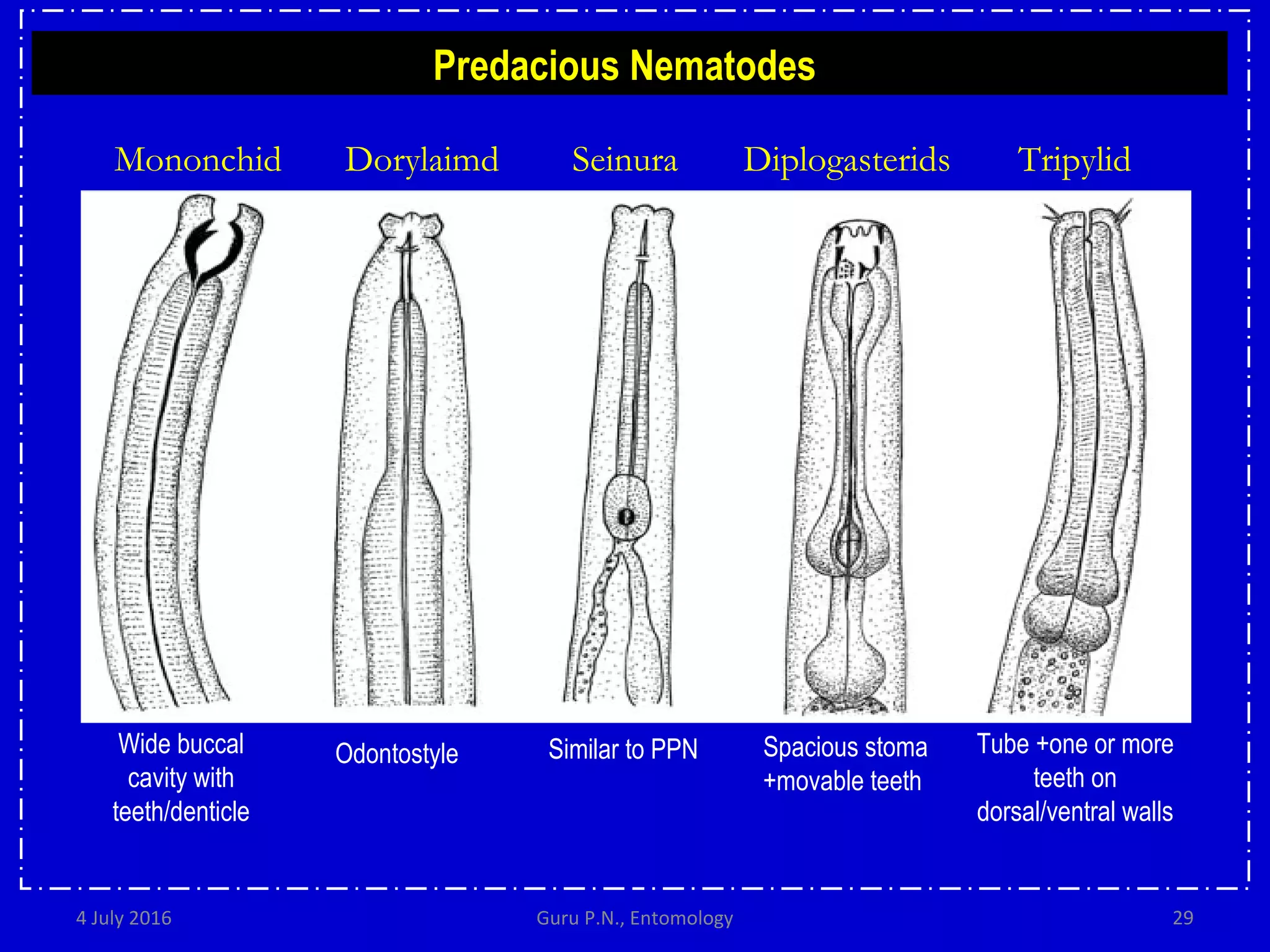 Nematode Management Modules for IPM in cropping sequences | PPT