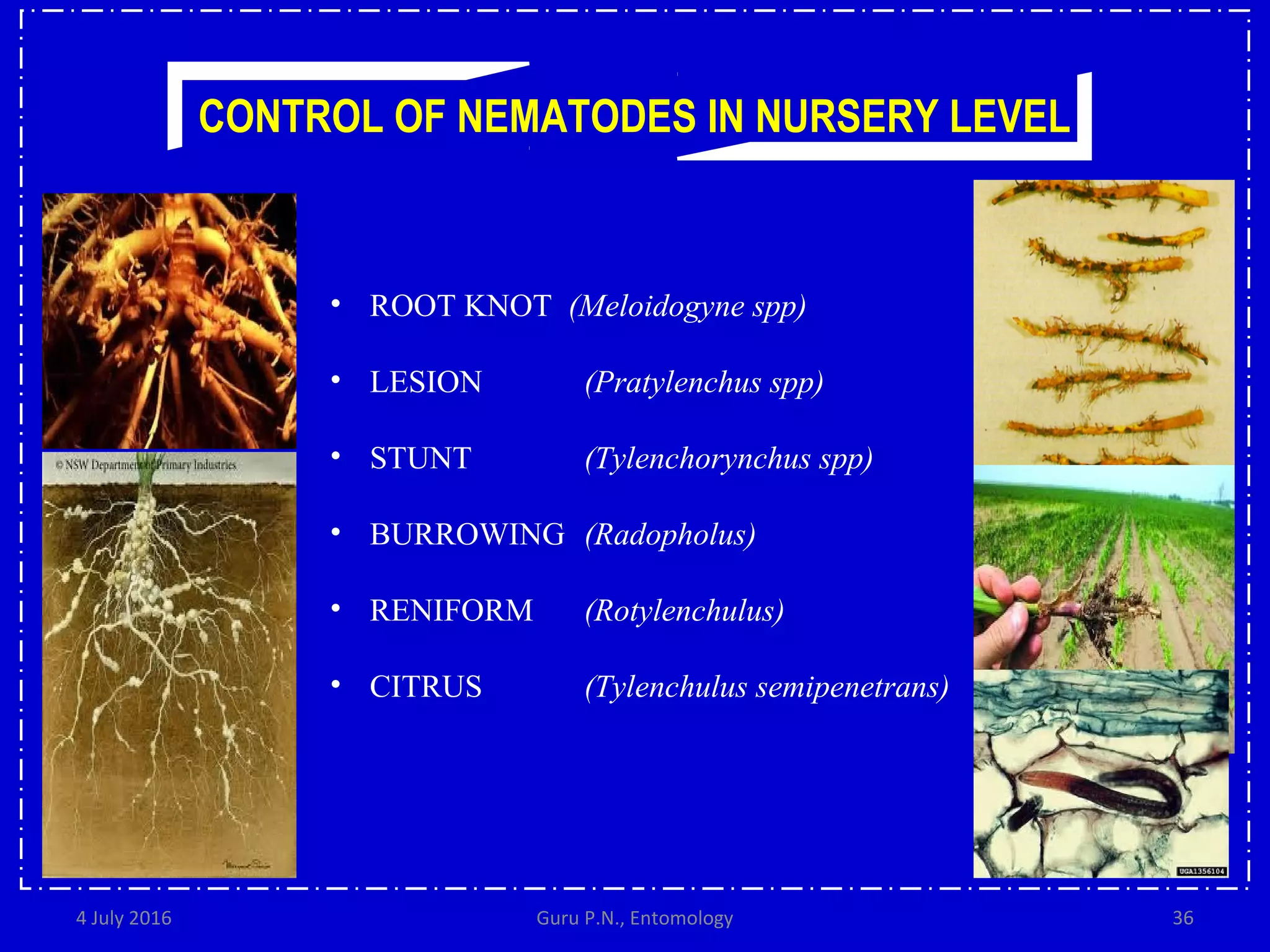 Nematode Management Modules for IPM in cropping sequences | PPT