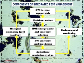 Nematode Management Modules for IPM in cropping sequences | PPT