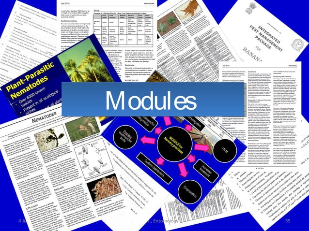 Nematode Management Modules for IPM in cropping sequences | PPT