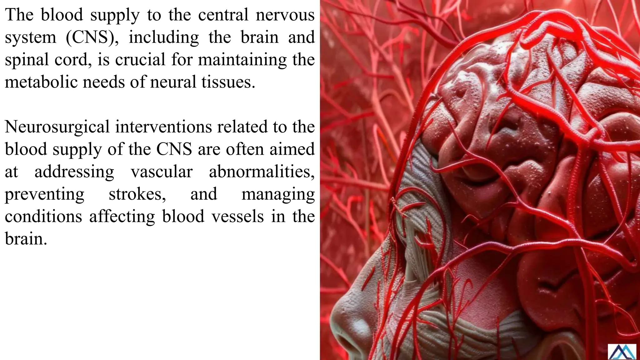 Blood Supply and lymphatics of CNS / Blood Supply and lymphatics of CNS.pdf