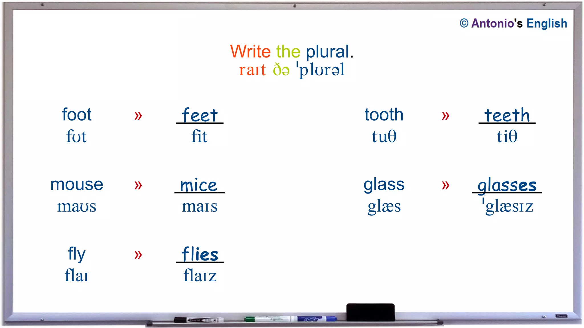 16. All plurals - Todos los plurales | PPT
