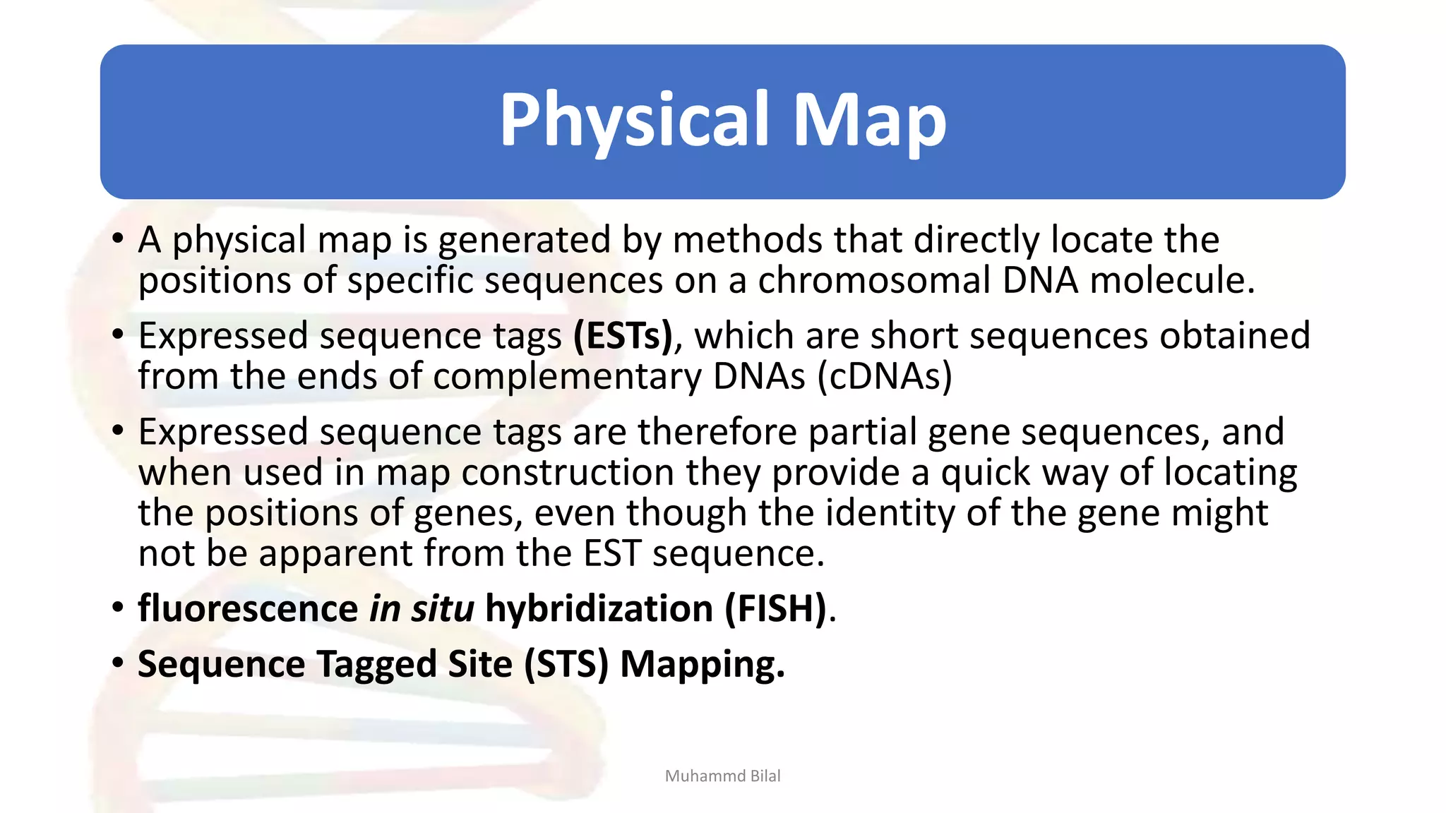 Gene mapping | Genetic map | Physical Map | DNA Data Analysis (upgraded ...