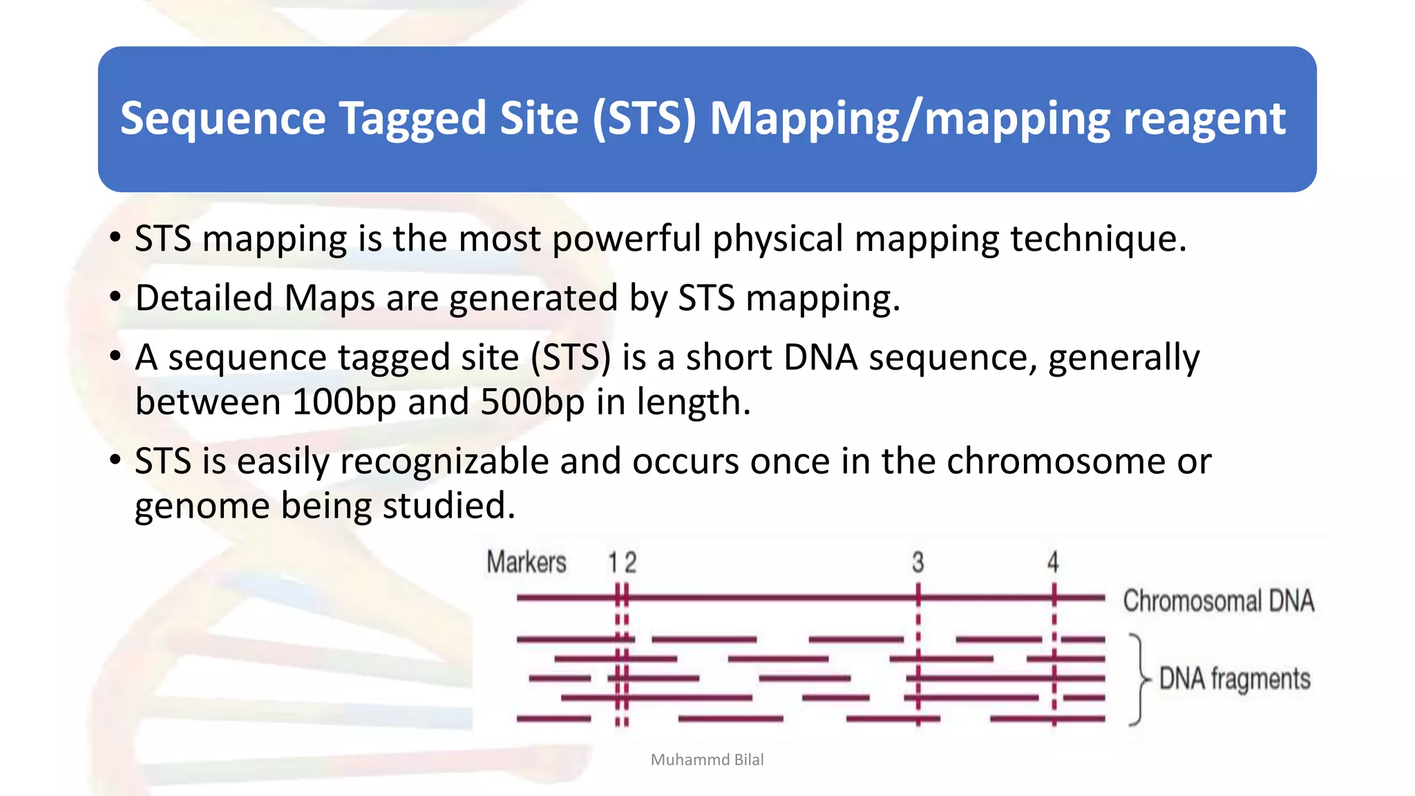 Gene mapping | Genetic map | Physical Map | DNA Data Analysis (upgraded ...