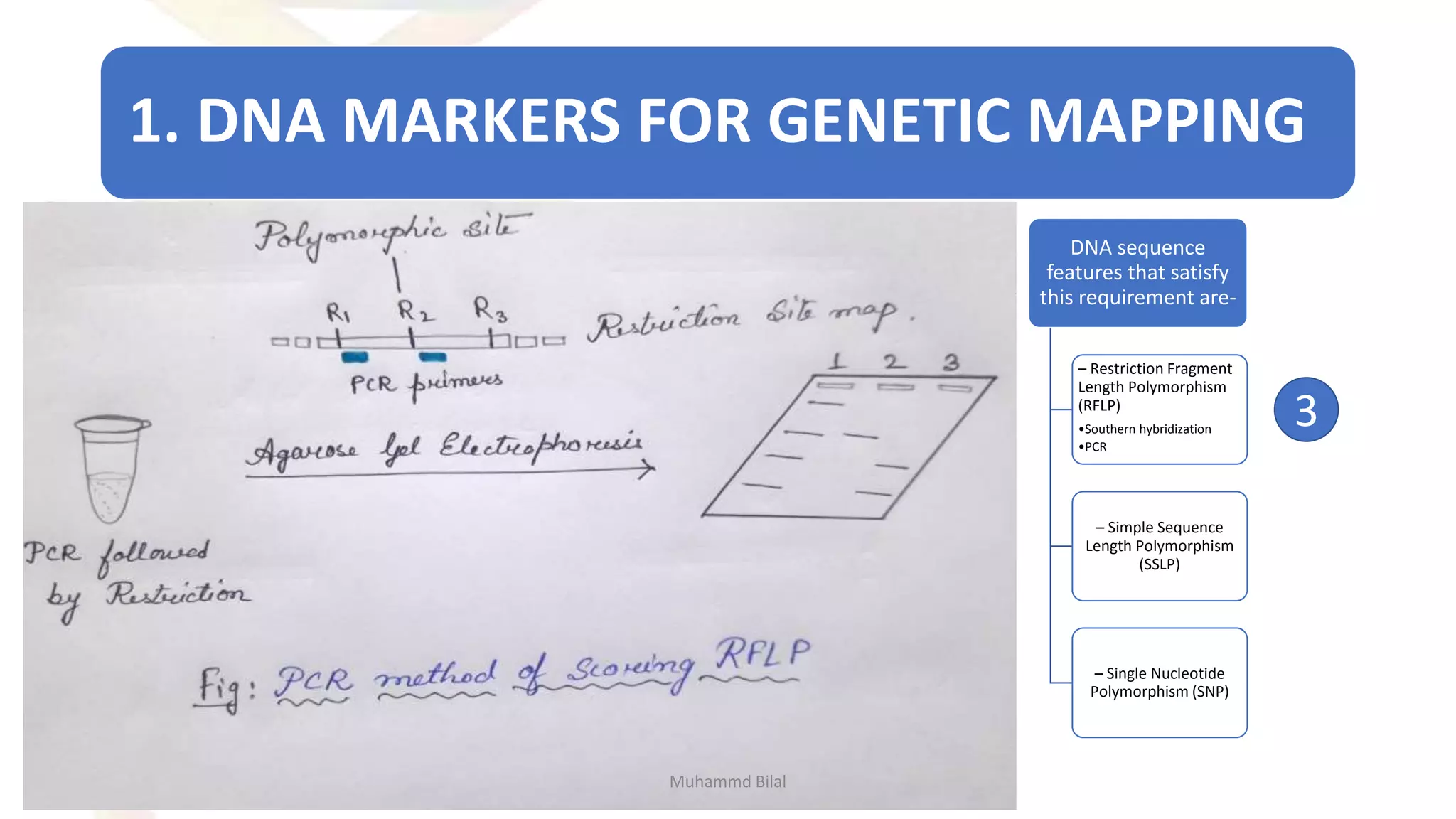 Gene mapping | Genetic map | Physical Map | DNA Data Analysis (upgraded ...