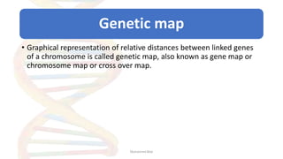 Gene mapping | Genetic map | Physical Map | DNA Data Analysis (upgraded ...