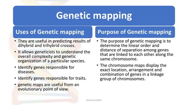 Gene mapping | Genetic map | Physical Map | DNA Data Analysis (upgraded ...