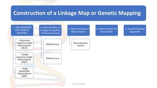 Gene mapping | Genetic map | Physical Map | DNA Data Analysis (upgraded ...