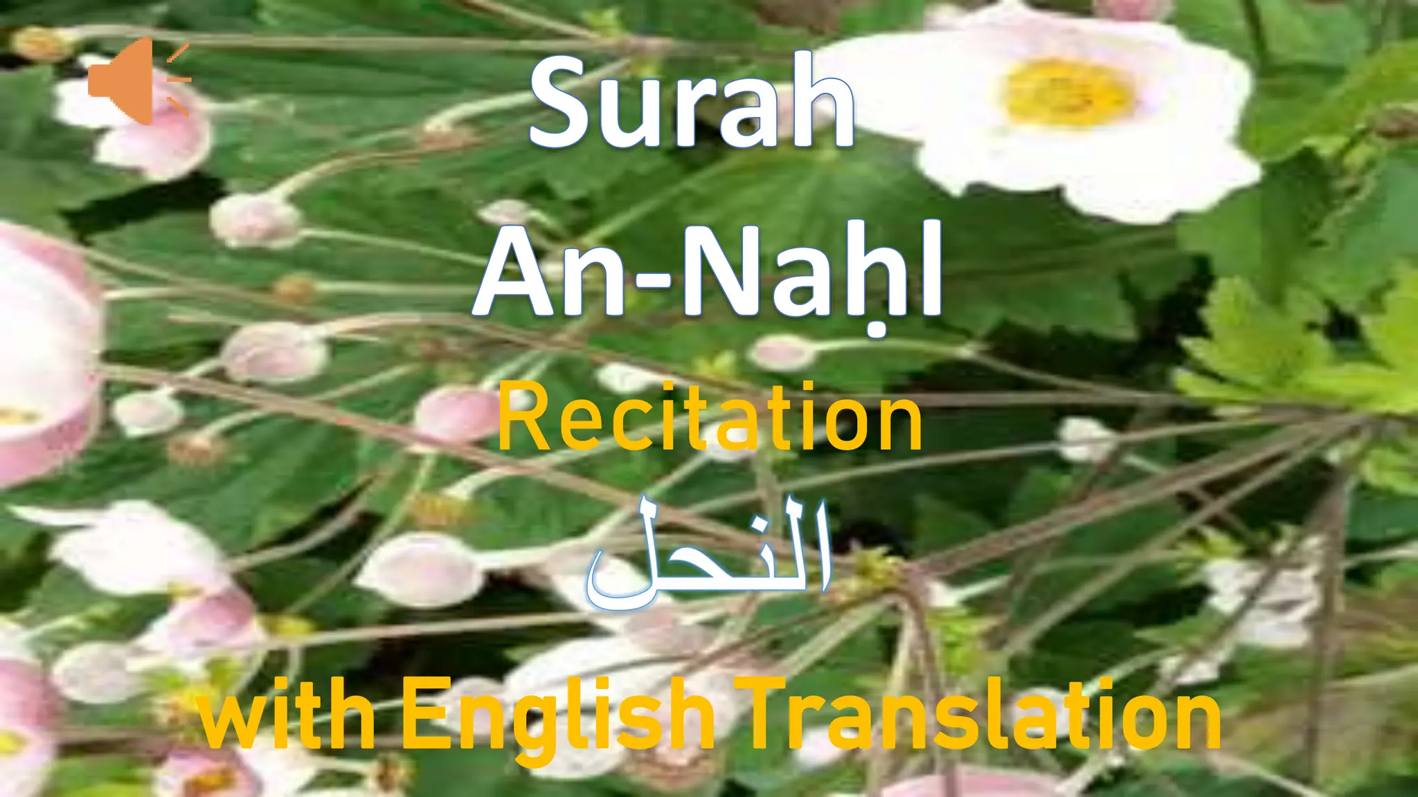 016E_Surah_An-Nahl_Arabic_Recitation_with_English_Translation_Slides.pptx