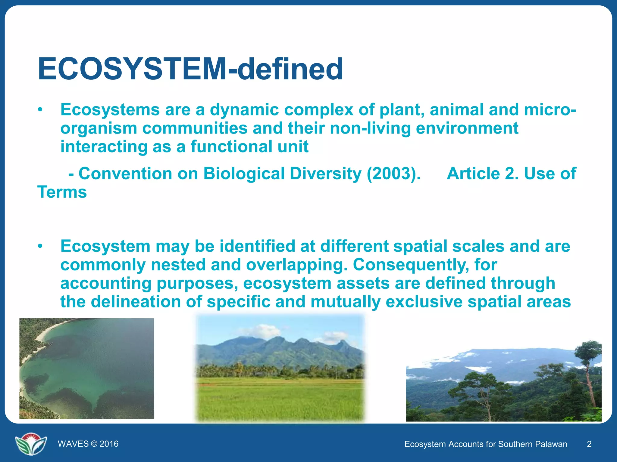 Piloting Ecosystem Accounts in Palawan | PPTX