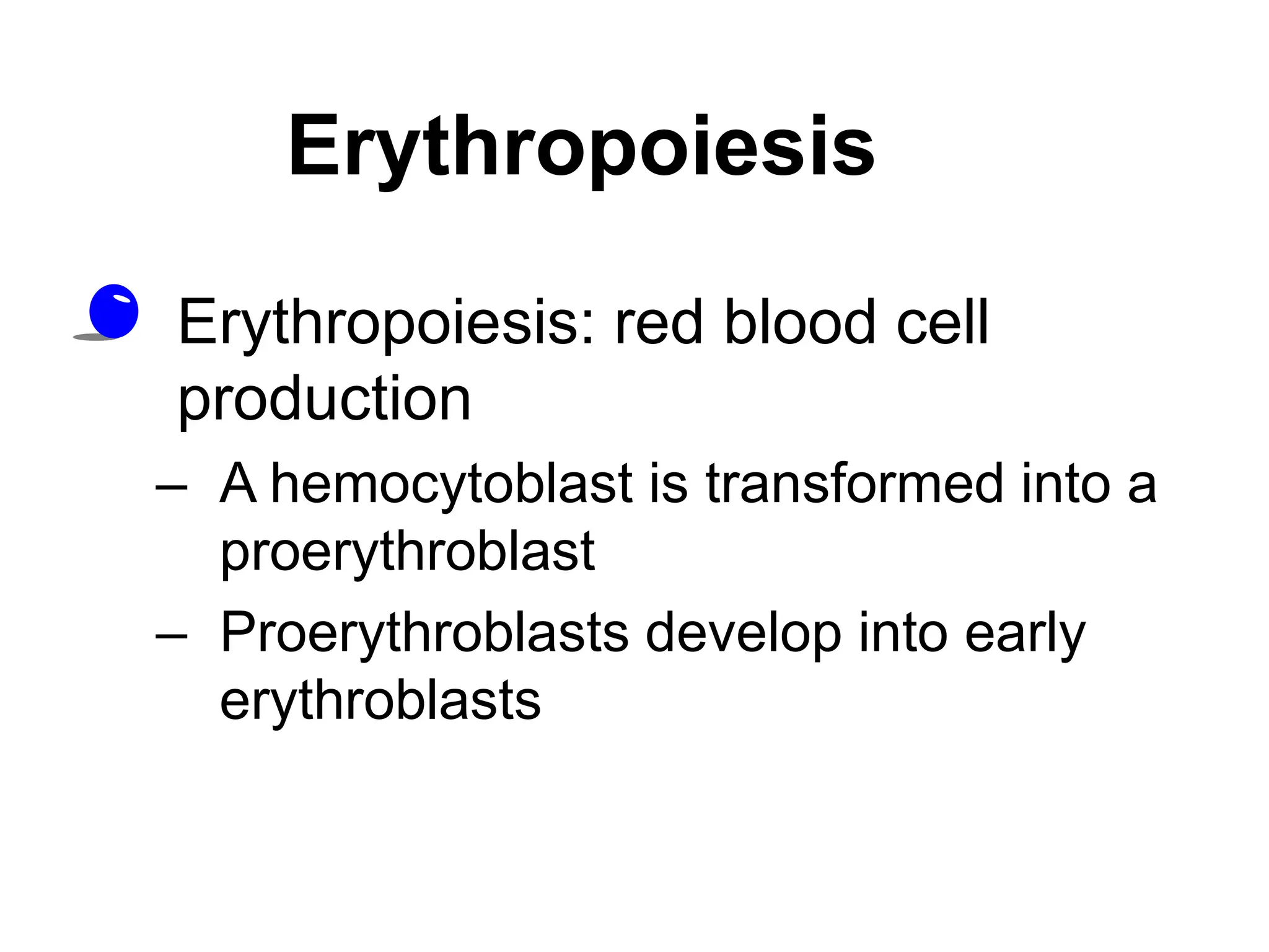 the microscopic structures and functions of Blood.ppt
